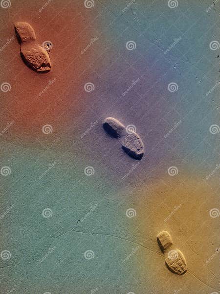 Footprints stock photo. Image of life, escape, solitude - 482298