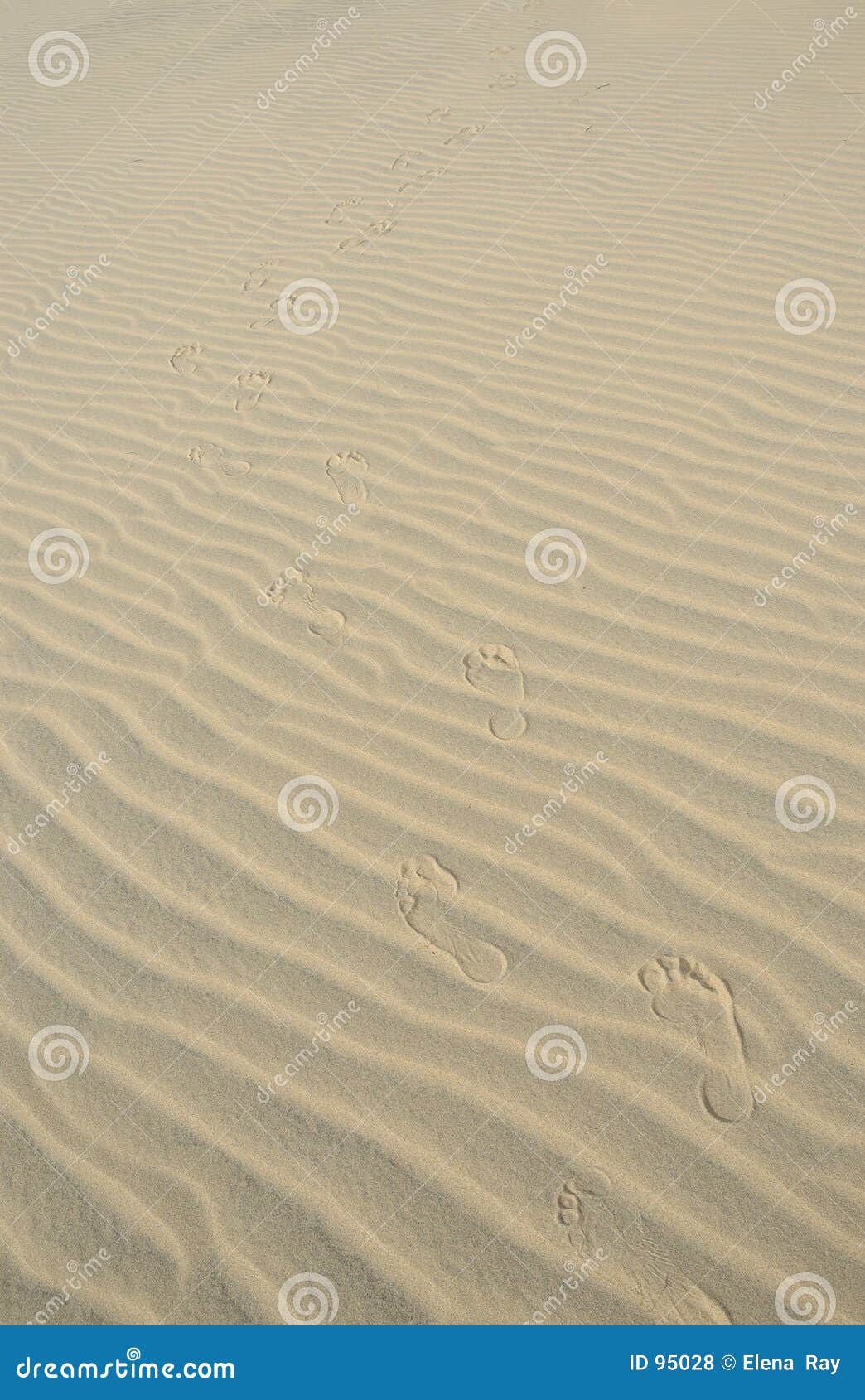 Spiritual Change Direction Stock Photos - Free & Royalty-Free Stock ...