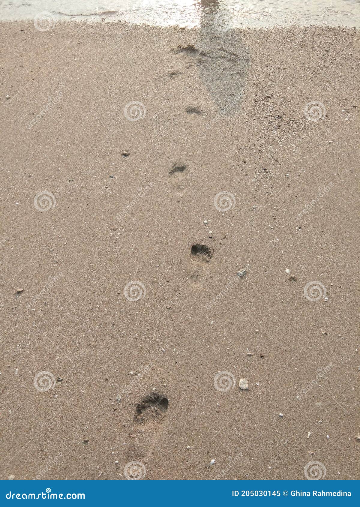 The Footprints is Aesthetic Stock Image - Image of brick, hardwood ...