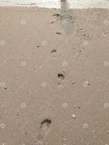 The Footprints is Aesthetic Stock Image - Image of brick, hardwood ...