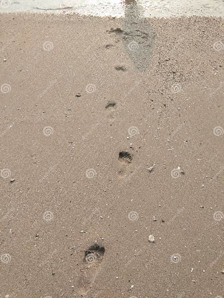 The Footprints is Aesthetic Stock Image - Image of brick, hardwood ...
