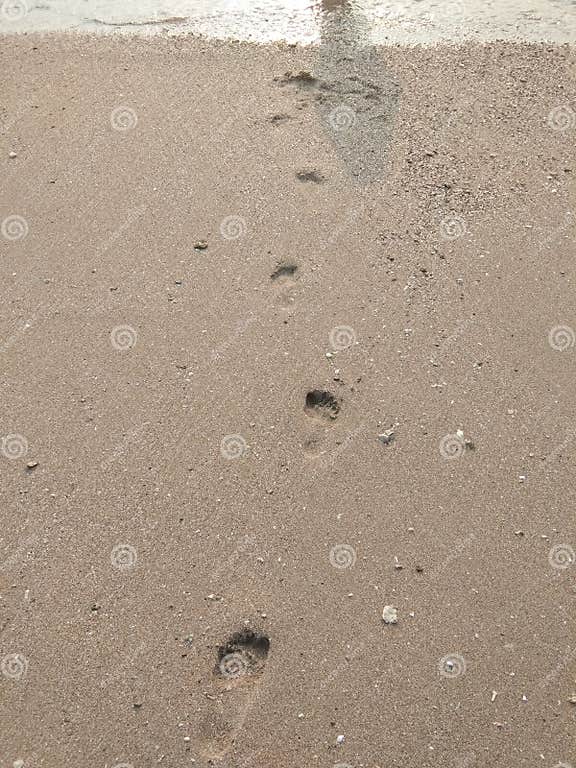 The Footprints is Aesthetic Stock Image - Image of brick, hardwood ...