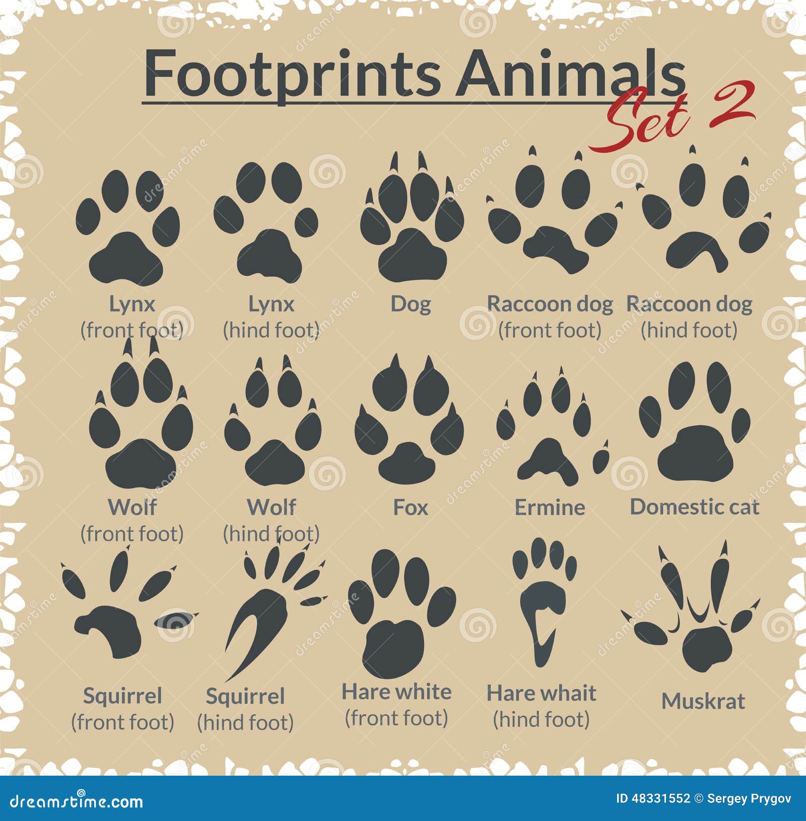 Footprints Animals - Vector Set. Stock Illustration | CartoonDealer.com ...
