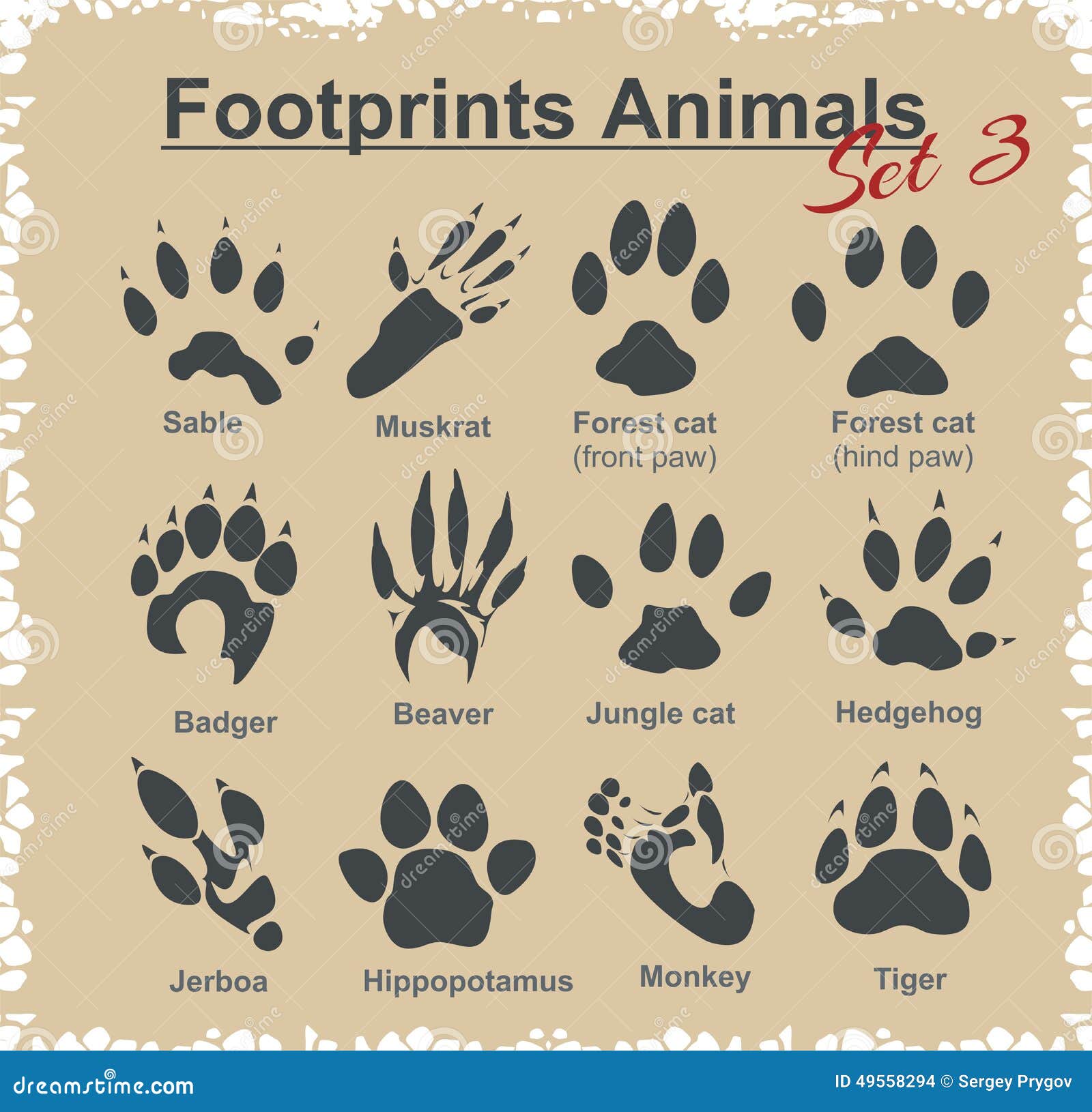 Footprints Animals - Vector Set. Stock Illustration | CartoonDealer.com ...