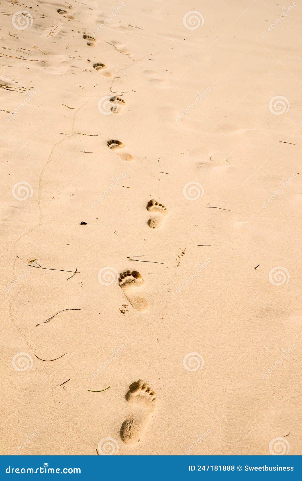Footprints in the Background Sand Stock Photo - Image of ocean, coast ...