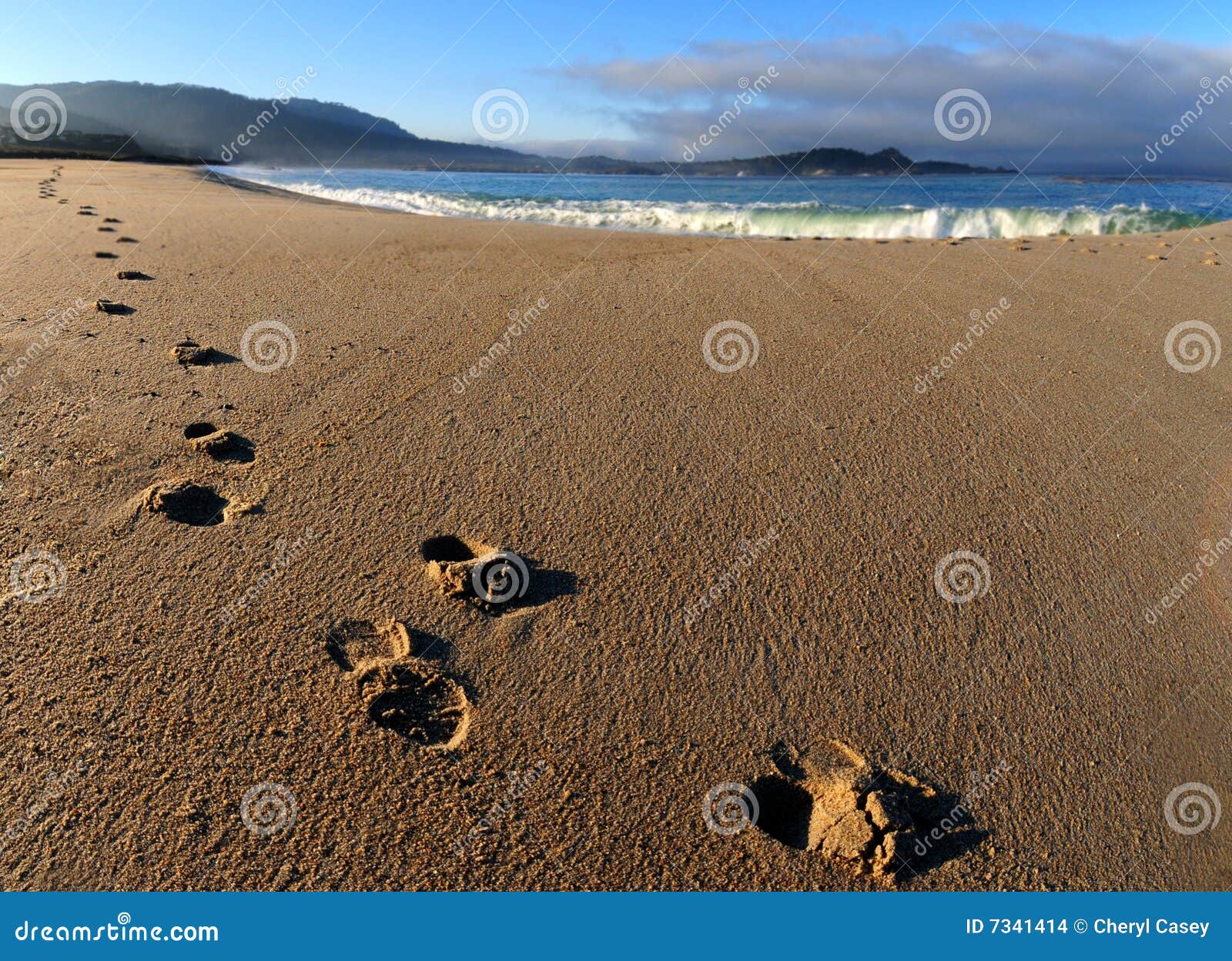 Footprints on beach stock photo. Image of cool, misty - 7341414