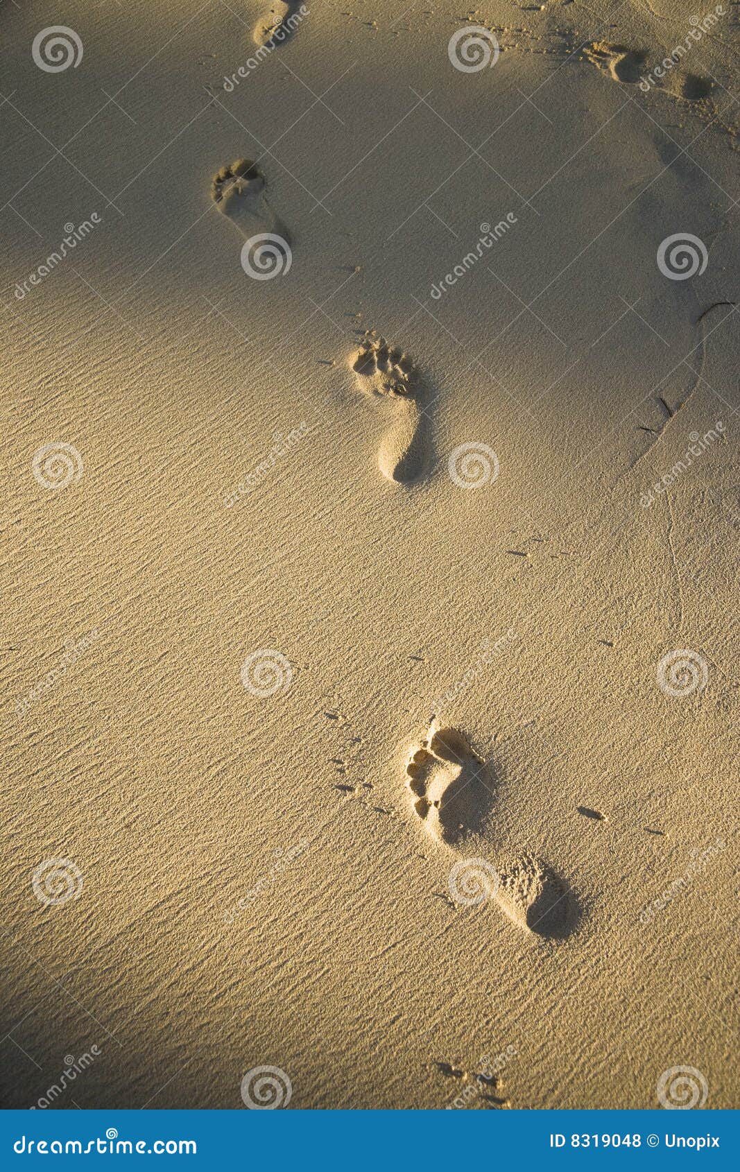 Footprints on beach stock photo. Image of barefoot, sand - 8319048