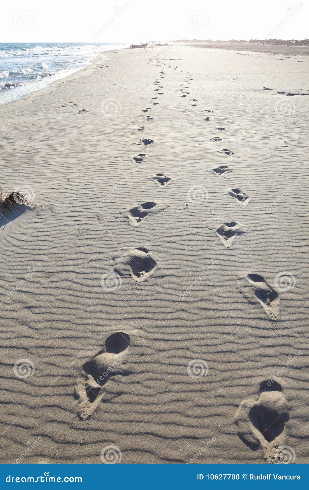 Footprints in beach sand stock photo. Image of footfalls - 10627700