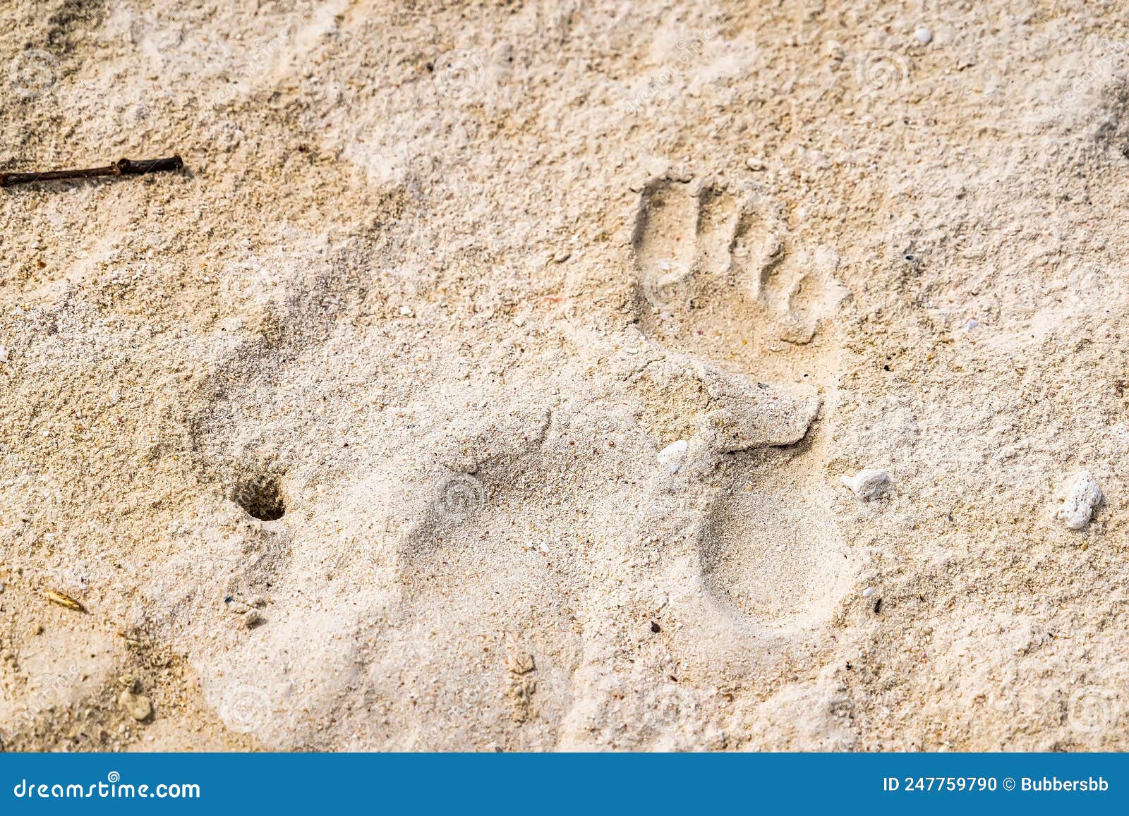 Footprints on the Beach Sand Stock Photo - Image of nature, sand: 247759790
