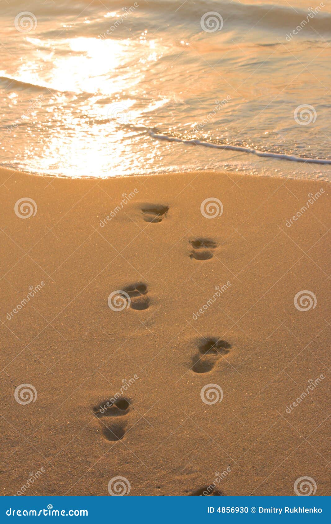 Footprints on beach sand stock photo. Image of oceans - 4856930