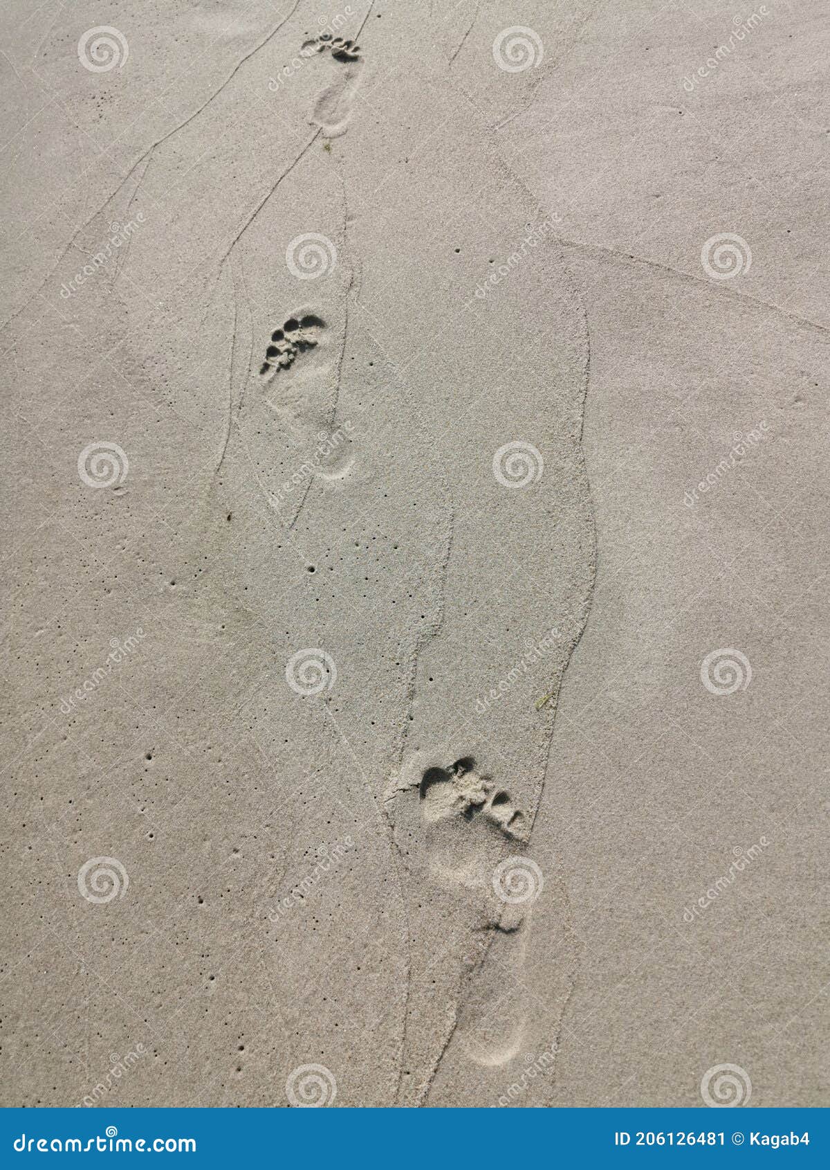Footprints on the Beach, Sand. Stock Image - Image of pool, path: 206126481