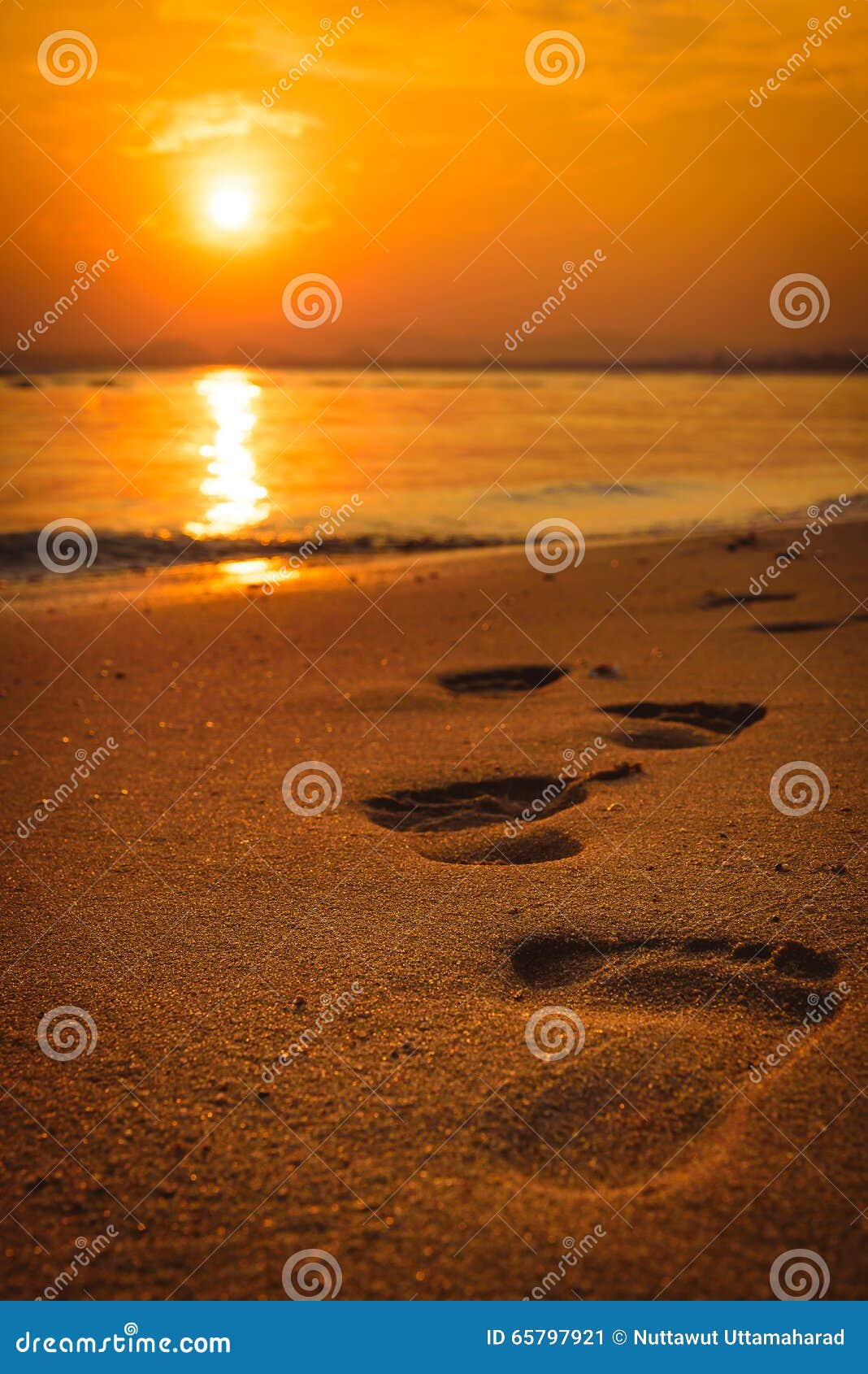 Footprints on the Beach at Sunset. Stock Image - Image of freedom, path ...