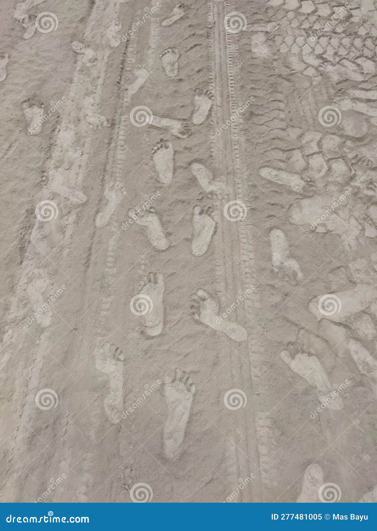 Footprints on Cement Sand Dust Stock Image - Image of dust, wood: 277481005