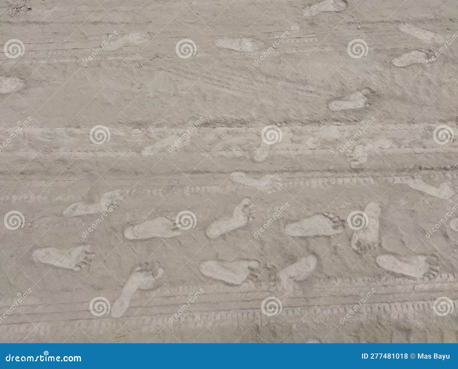 Footprints on Cement Sand Dust Stock Photo - Image of sand, tile: 277481018