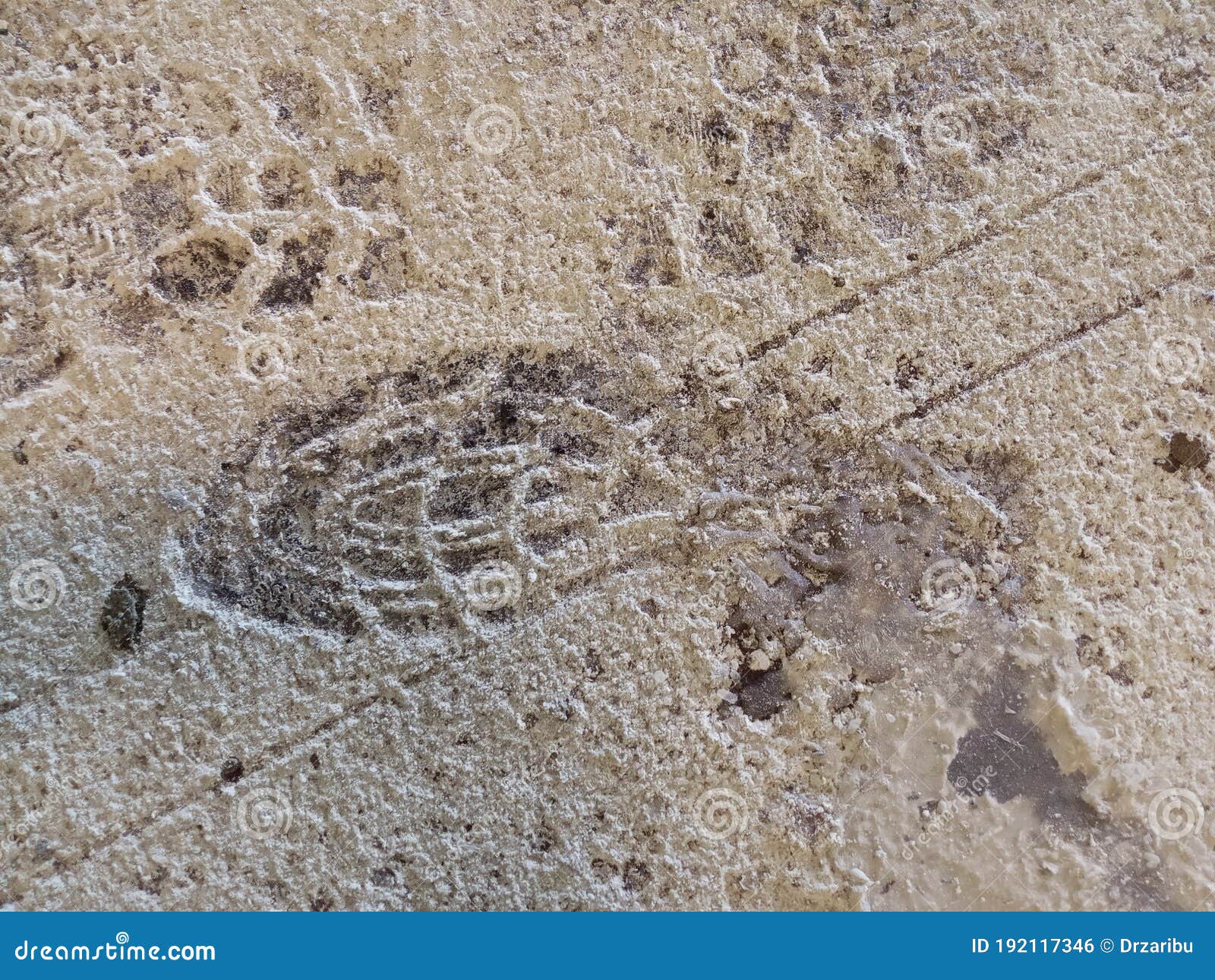 Footprints on crime scene stock photo. Image of footprints - 192117346