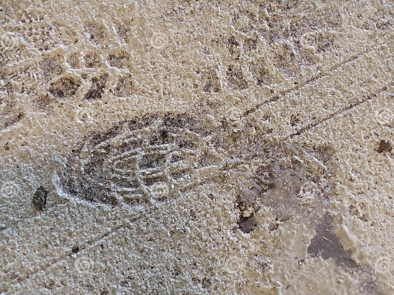 Footprints on crime scene stock photo. Image of footprints - 192117346