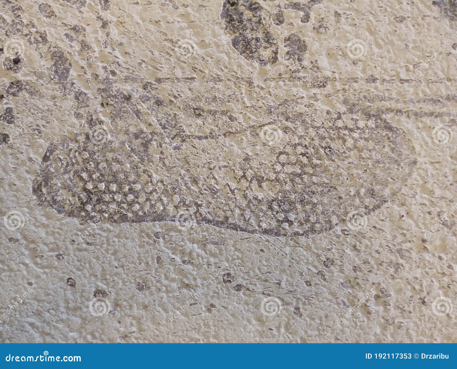 Footprints on crime scene stock image. Image of detective - 192117353