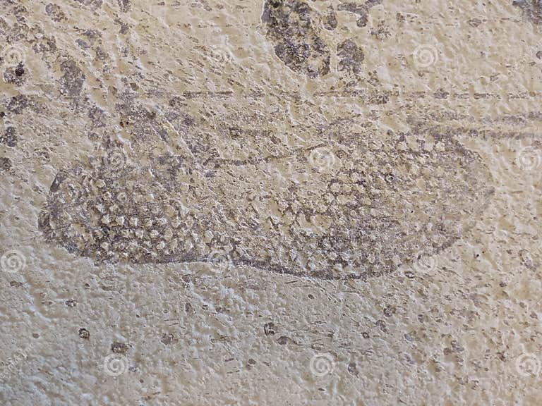 Footprints on crime scene stock image. Image of detective - 192117353