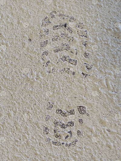 Footprints on crime scene stock photo. Image of resolve - 192117360