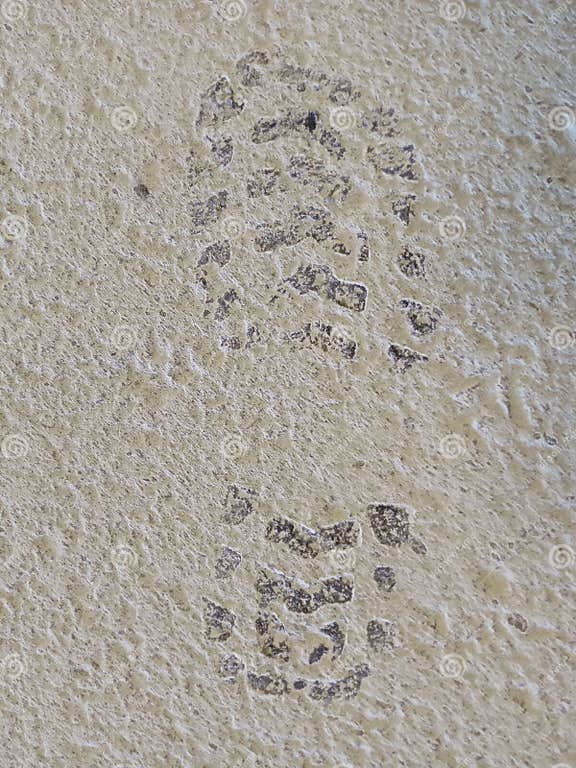 Footprints on crime scene stock photo. Image of resolve - 192117360