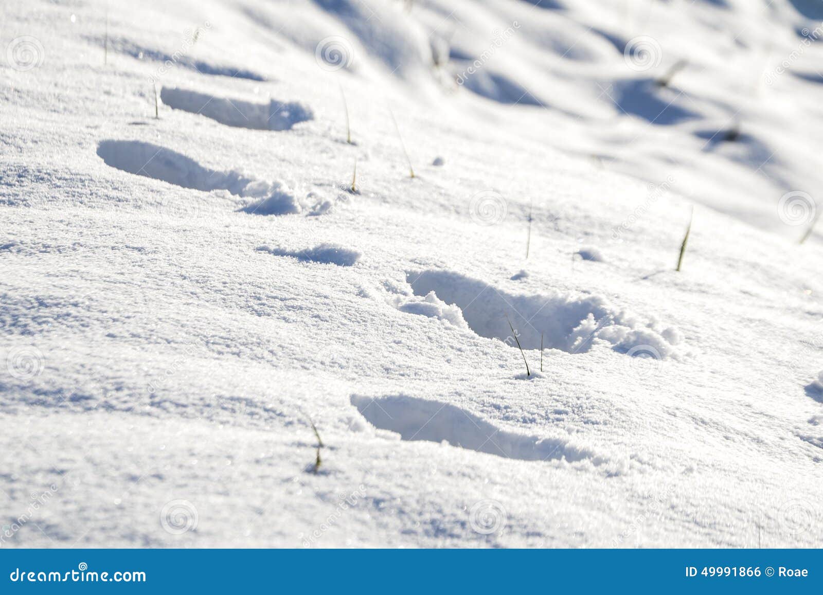 Footprints in deep snow stock photo. Image of pathway - 49991866