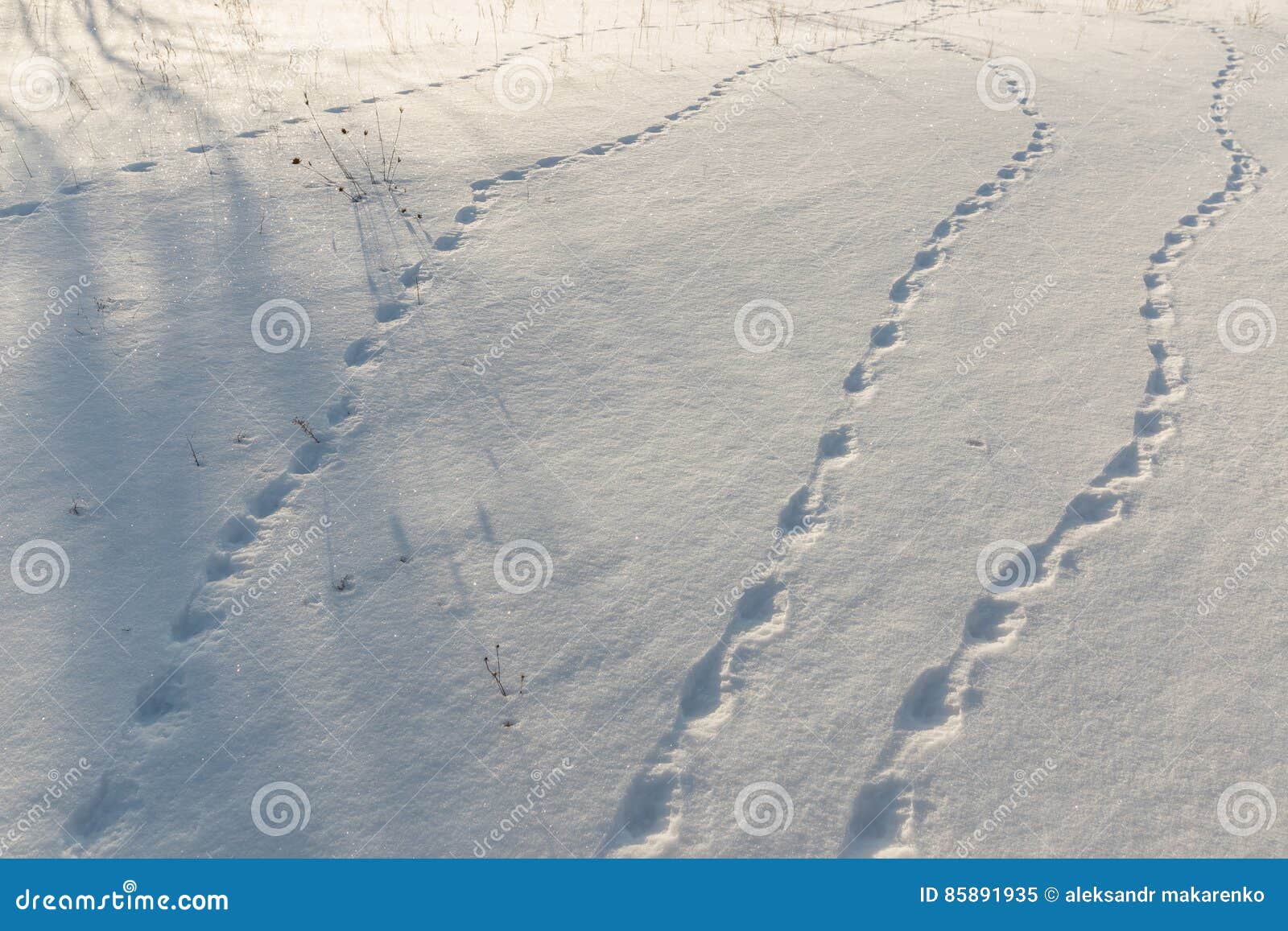 Footprints in the Deep Snow in a White Box Stock Image - Image of snow ...