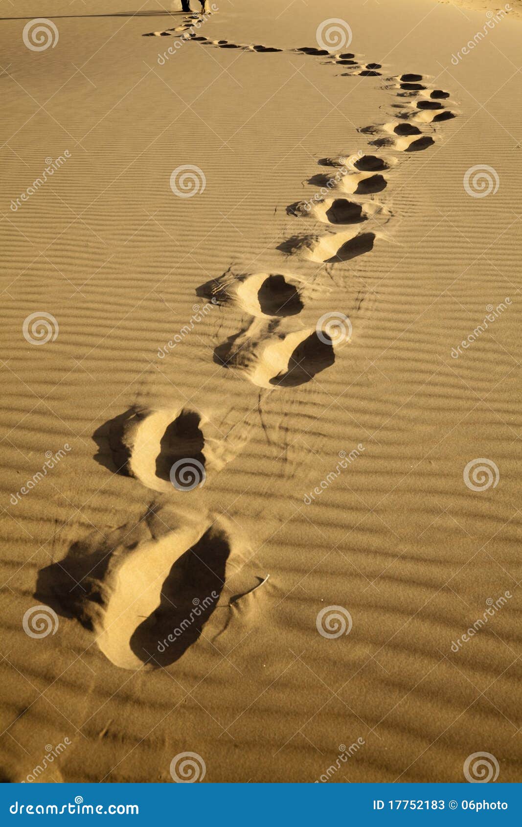 Footprints on the desert stock image. Image of footprint - 17752183