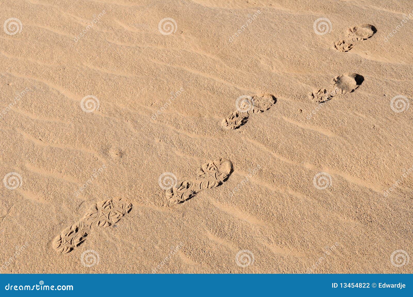 Footprints in desert 2 stock photo. Image of print, feet - 13454822