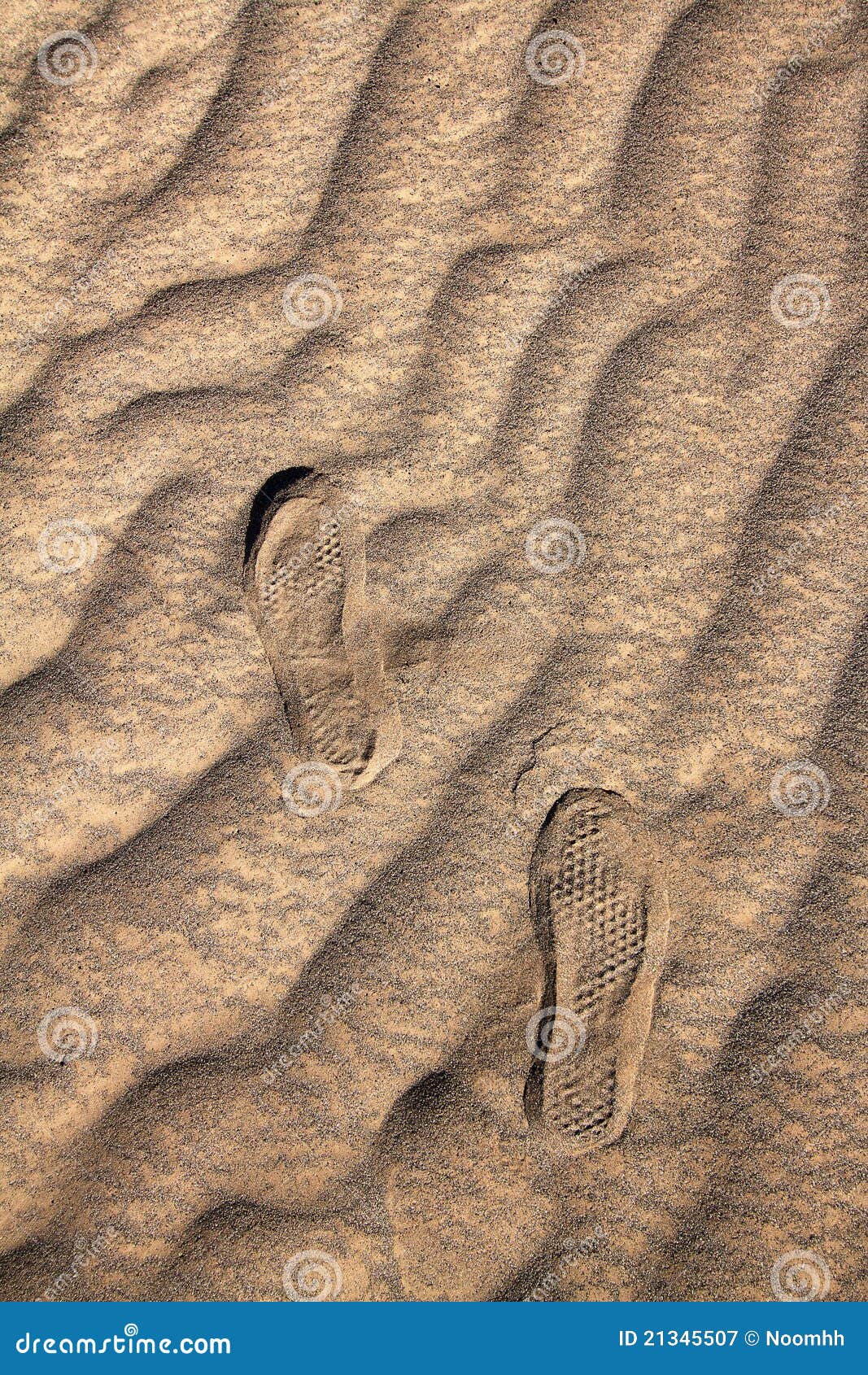 Footprints in the desert. stock image. Image of step - 21345507