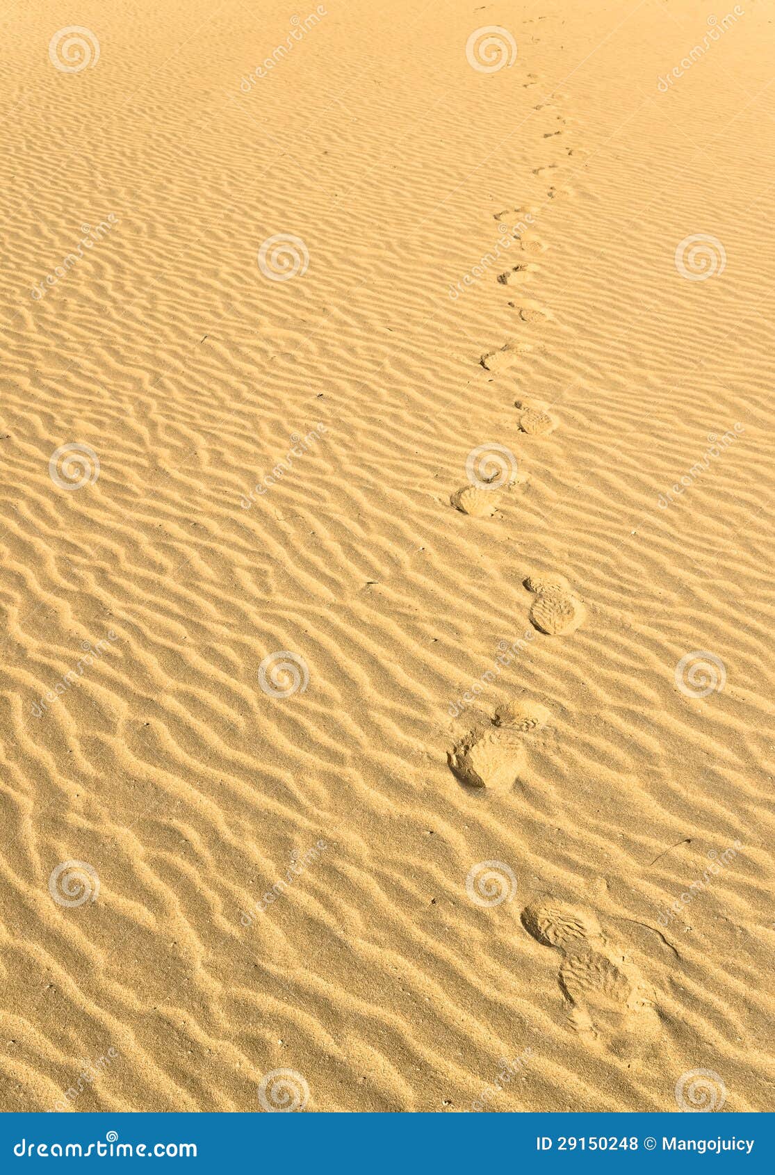 Footprints through desert stock photo. Image of footprints - 29150248