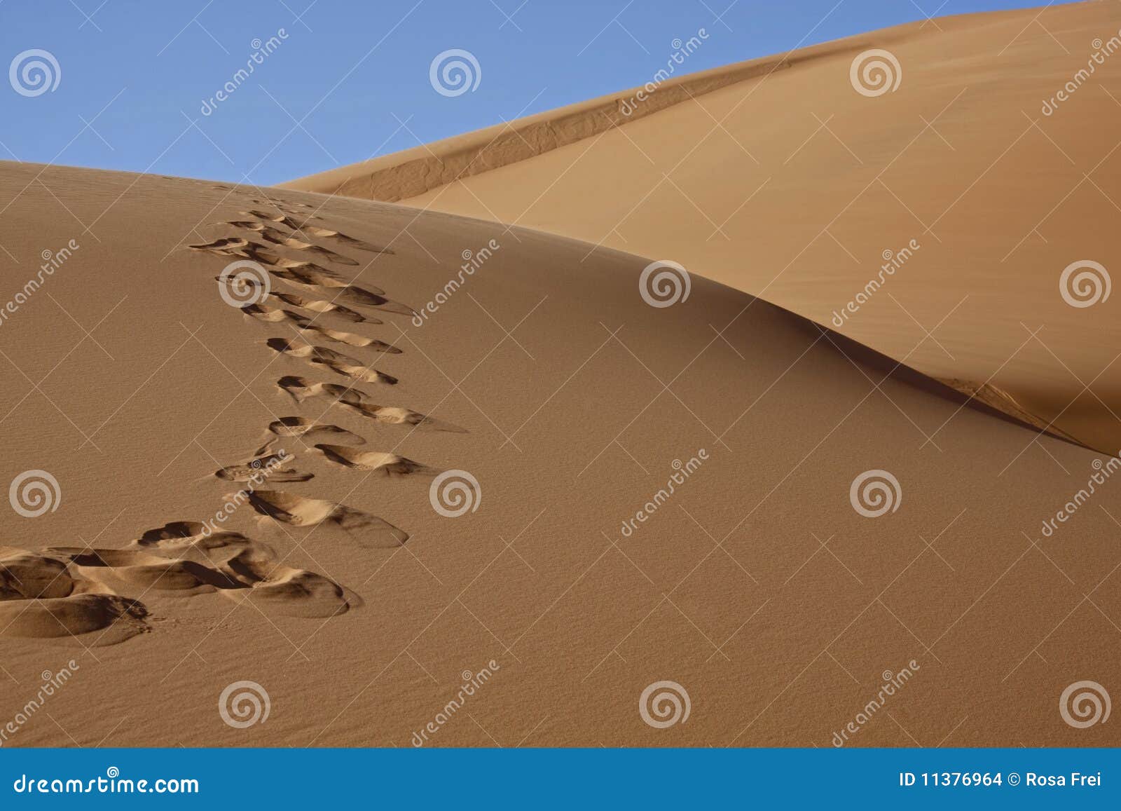 Footprints in desert sand stock photo. Image of retreat - 11376964