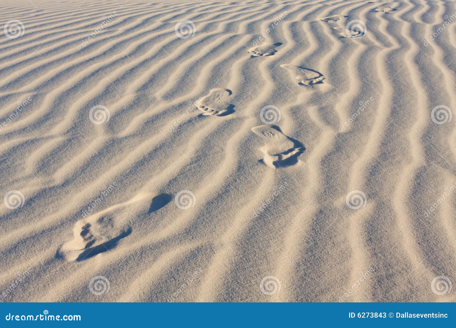 Footprints in the Desert Sand Stock Image - Image of isolated, outdoor ...