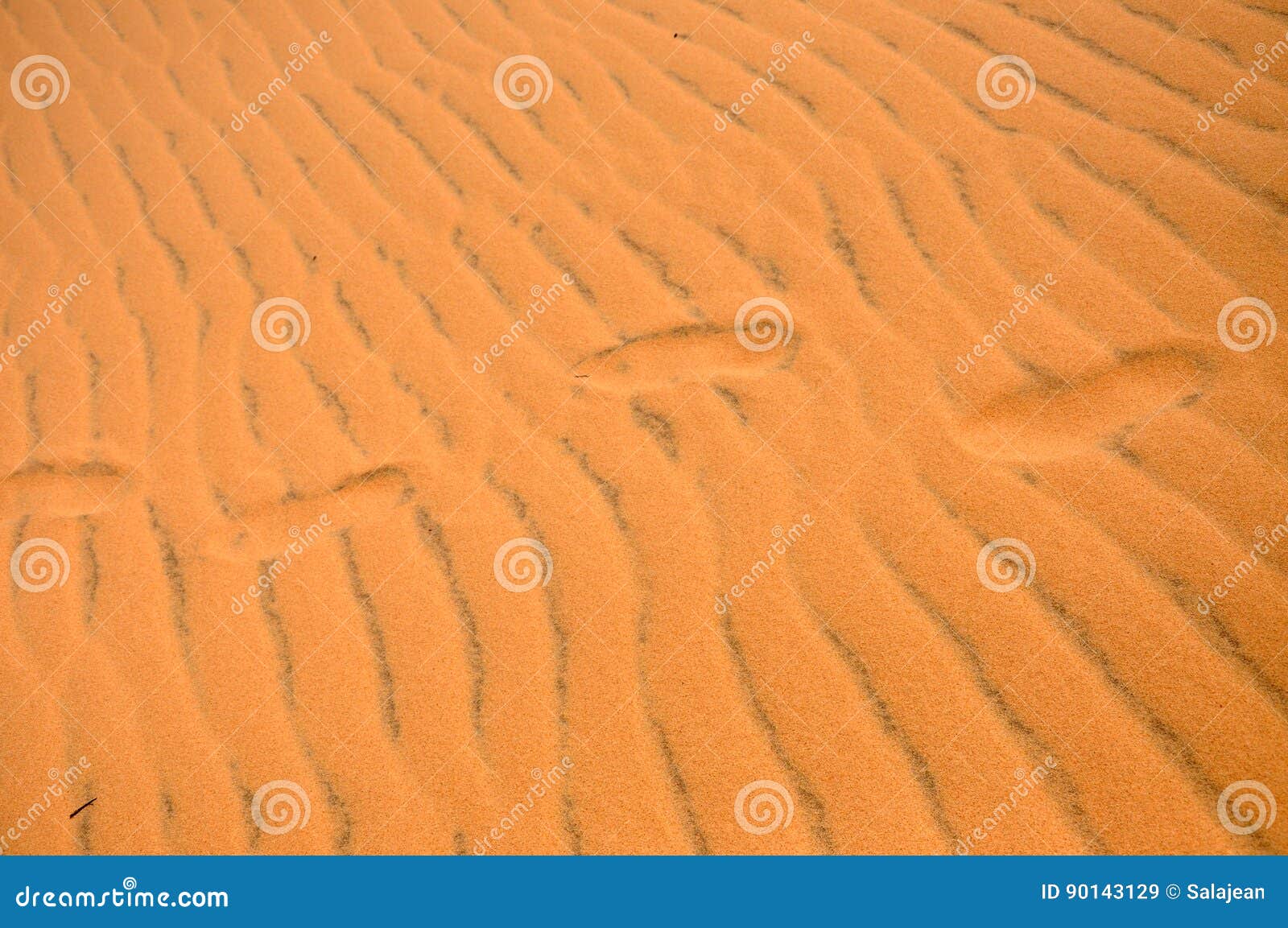 Footprints in the Desert Sand Stock Image - Image of egypt, adventure ...