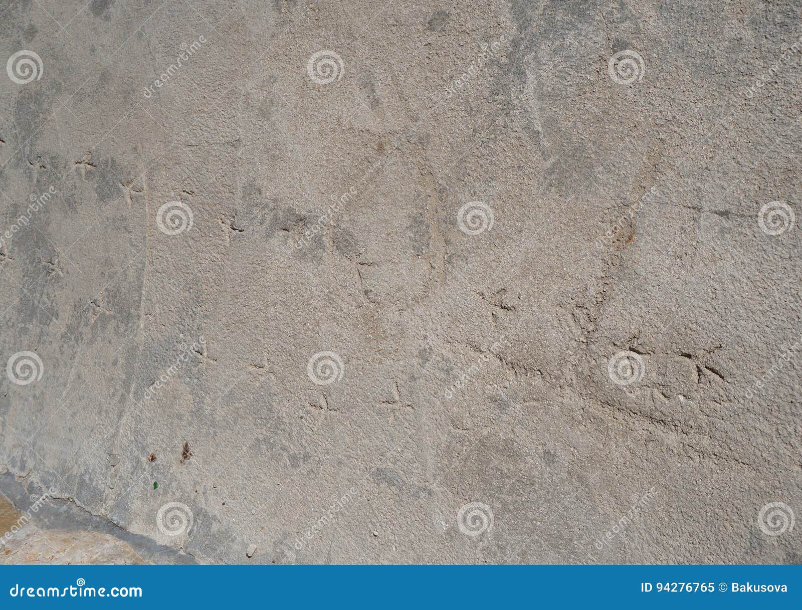 Footprints of dove stock image. Image of tracks, kitten - 94276765
