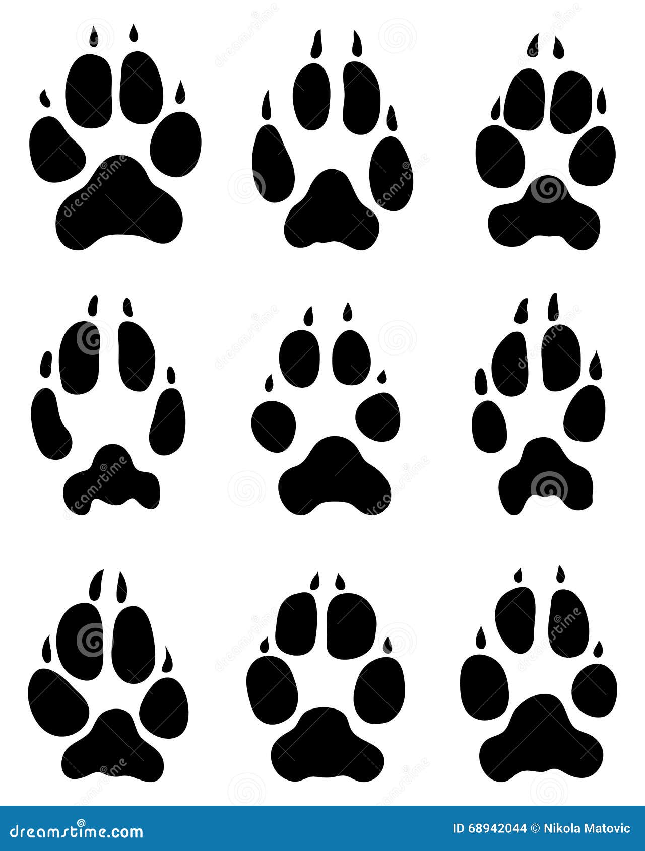 Footprints Of Foxes Royalty-Free Stock Photography | CartoonDealer.com ...