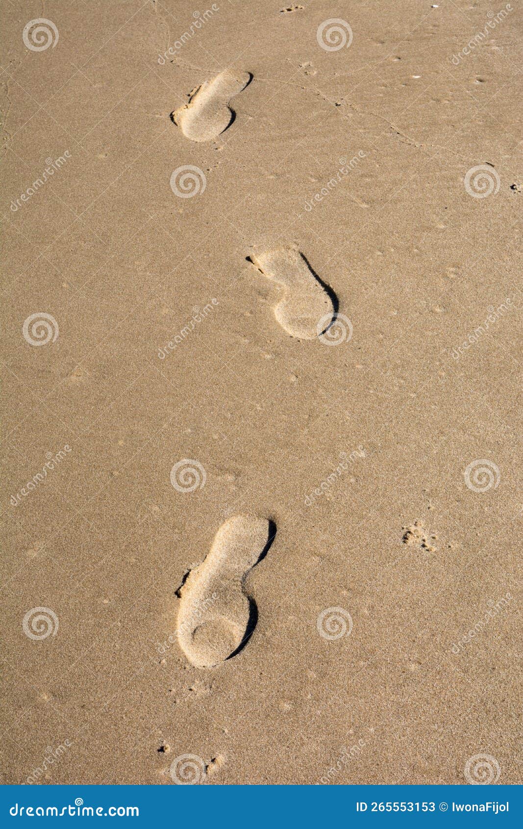 Footprints on Golden Sand on the Beach Stock Image - Image of ...