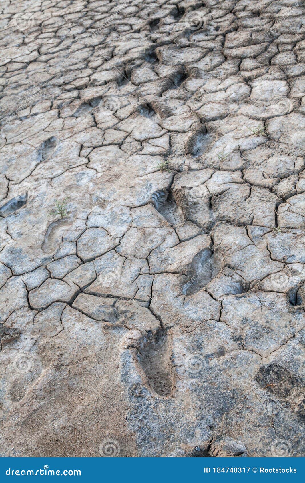Footprints on the ground stock image. Image of mark - 184740317