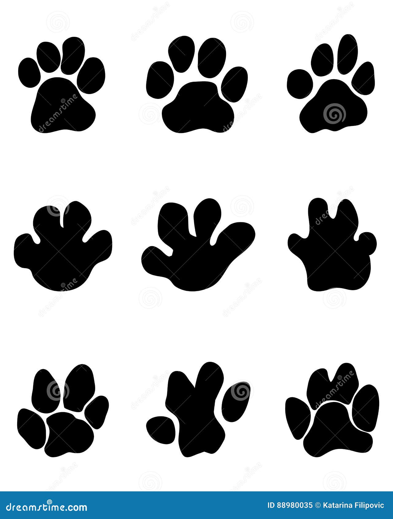 Hippopotamus Footprint. Behemoth Track. Wild Animal Footprints. Mammal ...