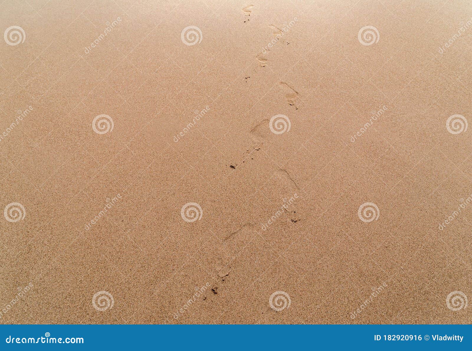 Footprints of Human Feet on the Sand Footstep Stock Photo - Image of ...