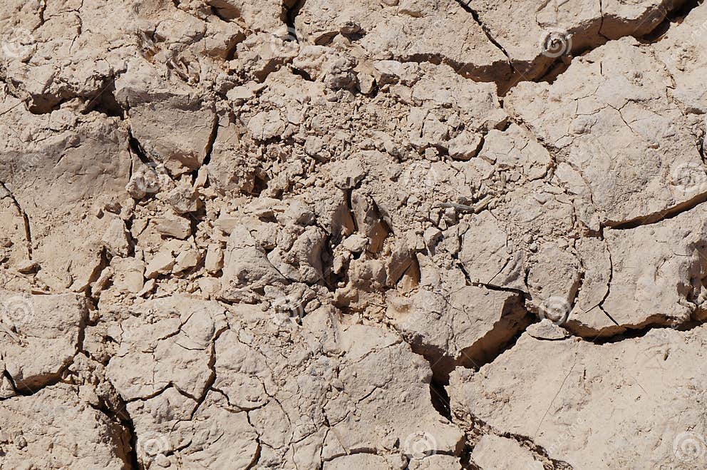The Footprints of Hyena on the Dryed Soil Stock Photo - Image of mark ...