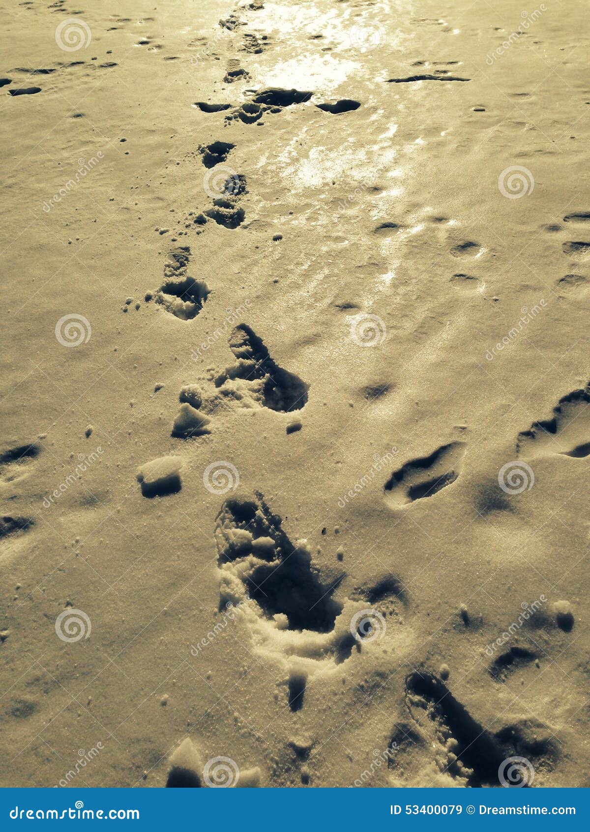 Footprints stock image. Image of stay, footprints, mark - 53400079