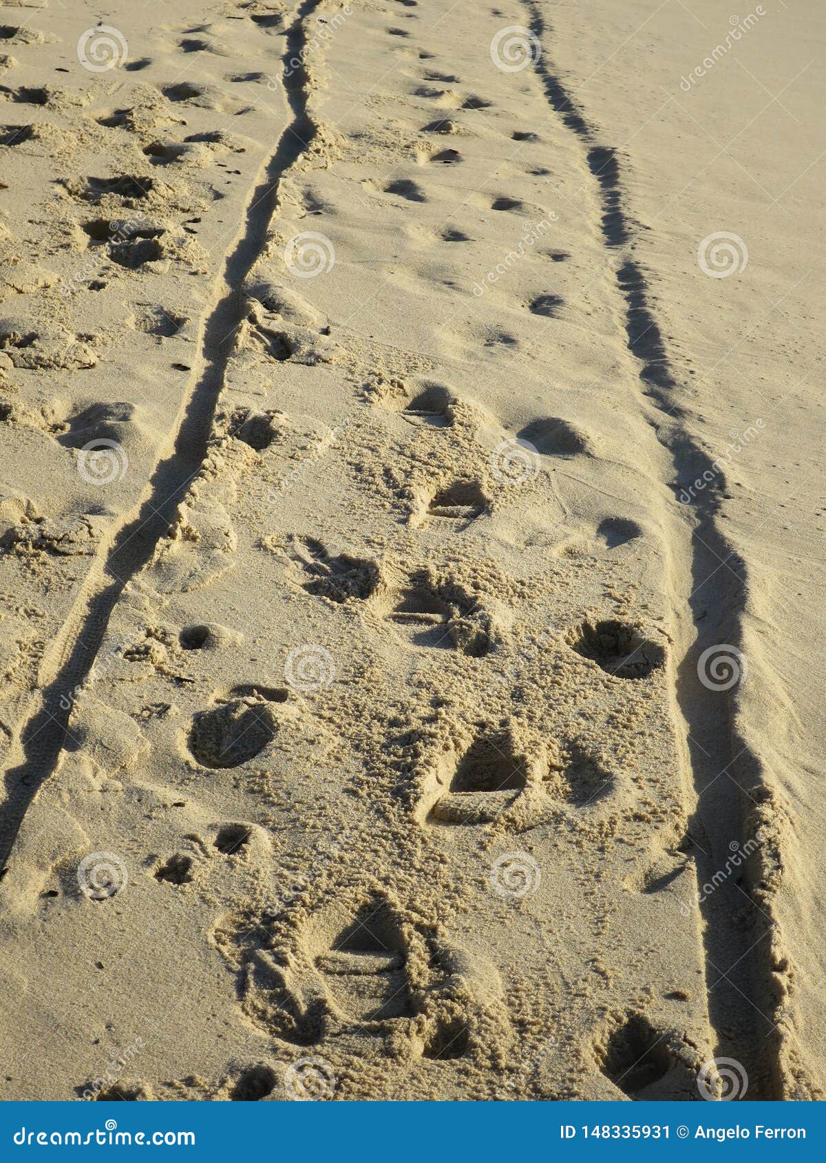 Footprints and Marks on the Sand Stock Image - Image of sand ...