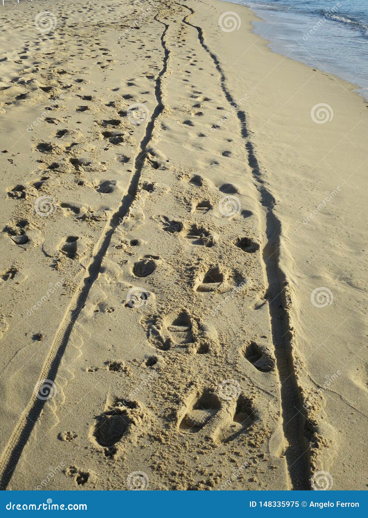 Footprints and Marks on the Sand Stock Image - Image of passage, walk ...