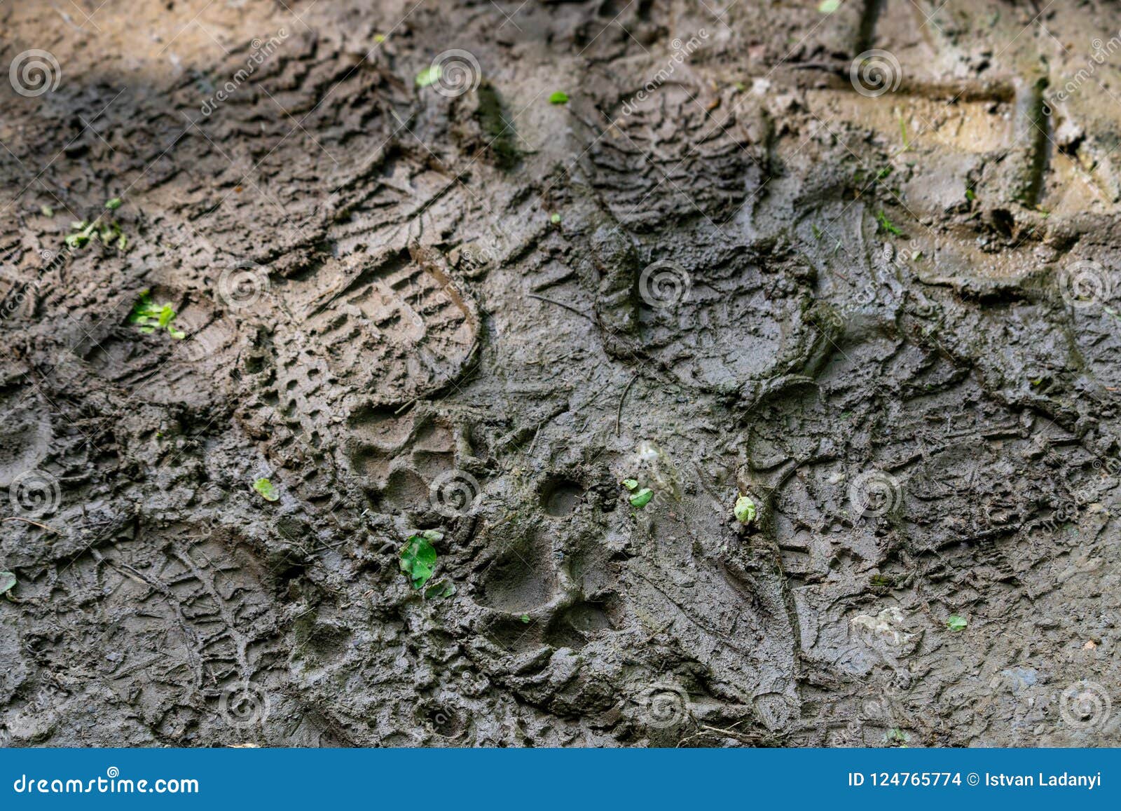 Footprints in the mud stock photo. Image of shoeprint - 124765774