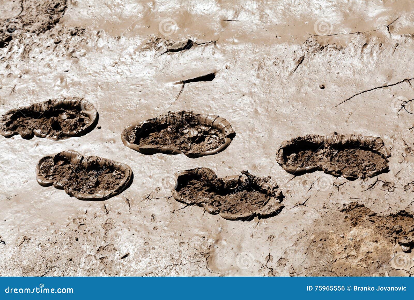 Footprints in the mud stock photo. Image of detail, foot - 75965556