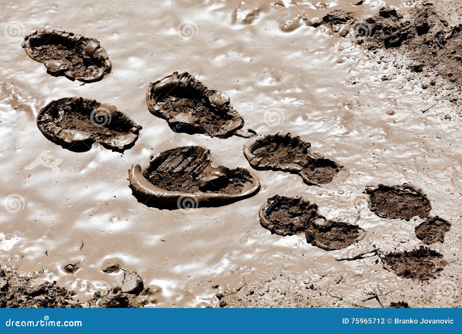 Footprints in the mud stock photo. Image of clay, environmental - 75965712
