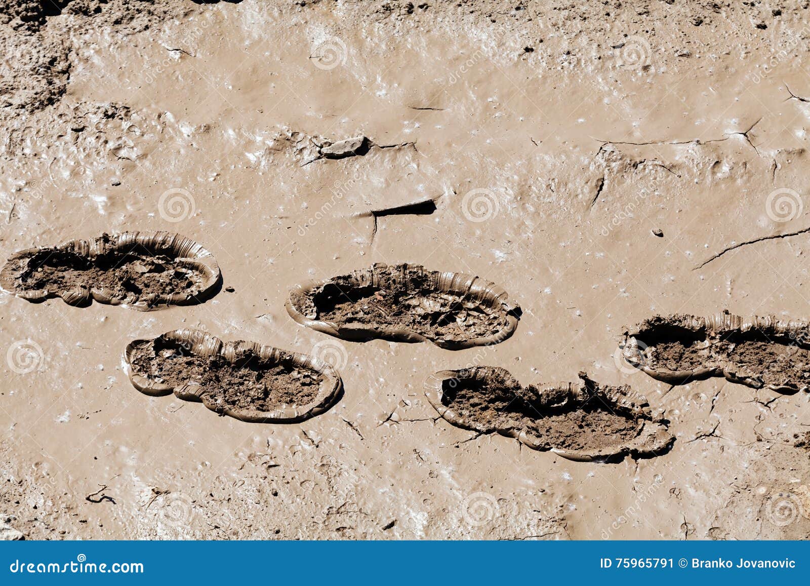 Footprints in the mud stock image. Image of terrain, foot - 75965791