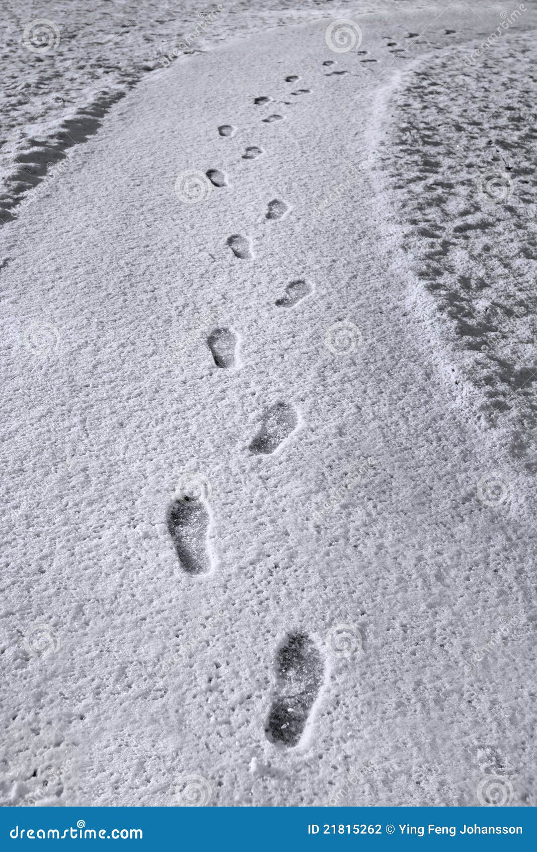 Footprints in new snow stock photo. Image of winter, shoeprints - 21815262