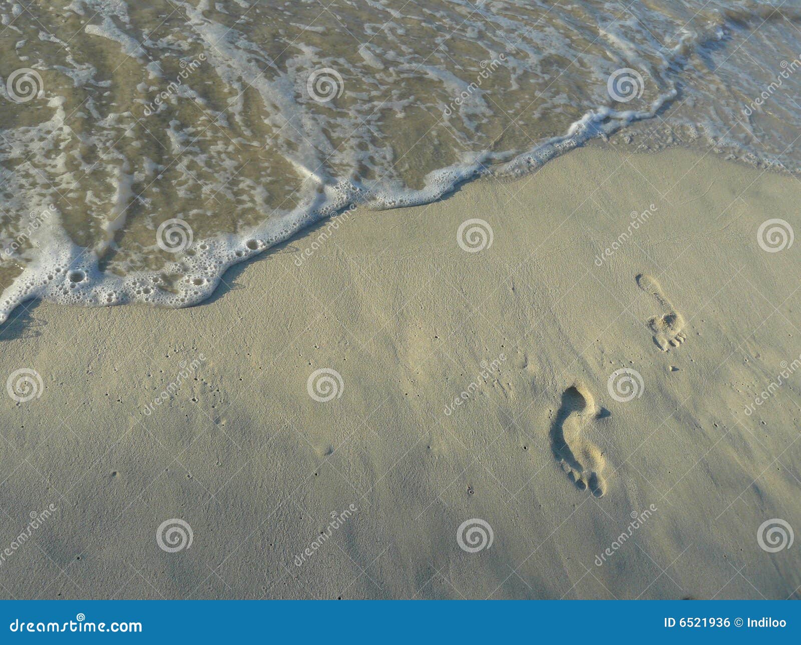 Footprints by ocean stock photo. Image of shore, outdoors - 6521936