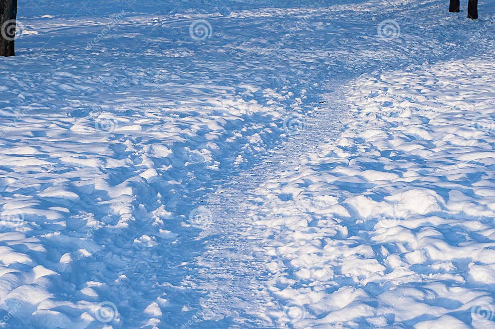 A Large Trodden Path in a Snowy Forest. Stock Image - Image of road ...